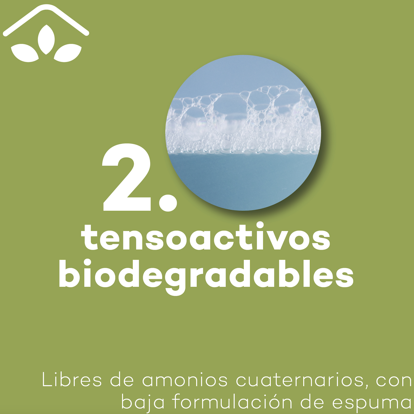 ¿Qué hace a un producto BIODEGRADABLE? – Hogar Verde